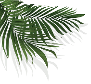 Ranav Group | Top Real Estate Builders in Bengaluru